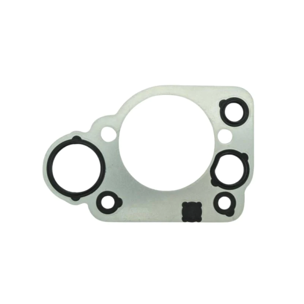 2872195 JUNTA PARA BOMBA DE ENGRANES SIGNATURE ISX | Fuerza Diesel